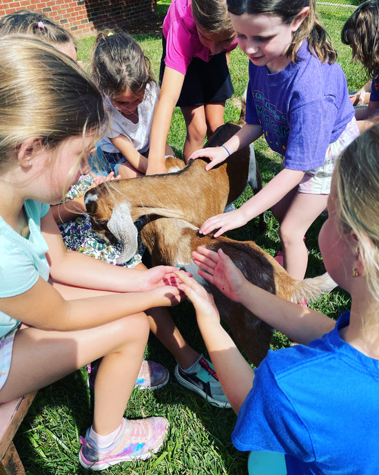 Visit the farm – Stoney Acres Farm